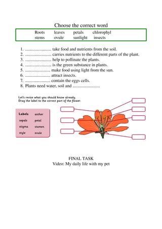 Animals and plants activities | PDF