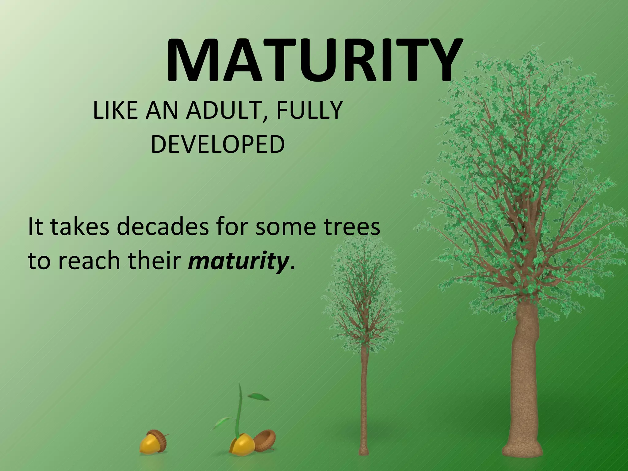 Unit 1 Cluster 2 Vocabulary | PPT | Science