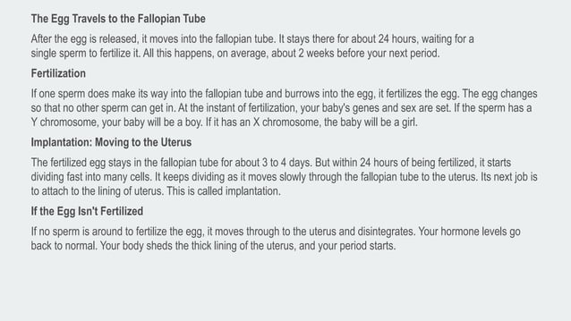 conception from birth life stages .pptx