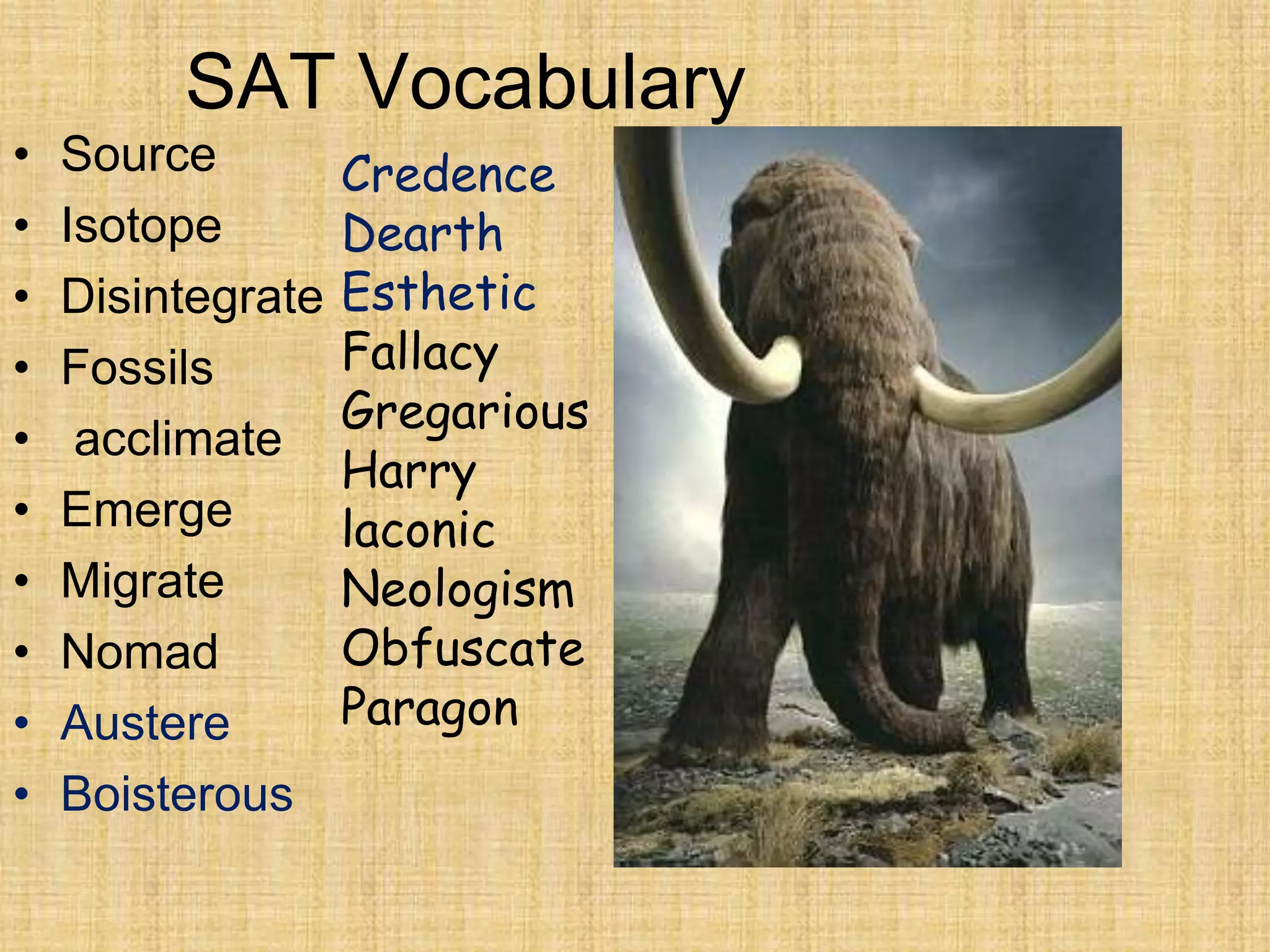 History of Stone Age | PPTX