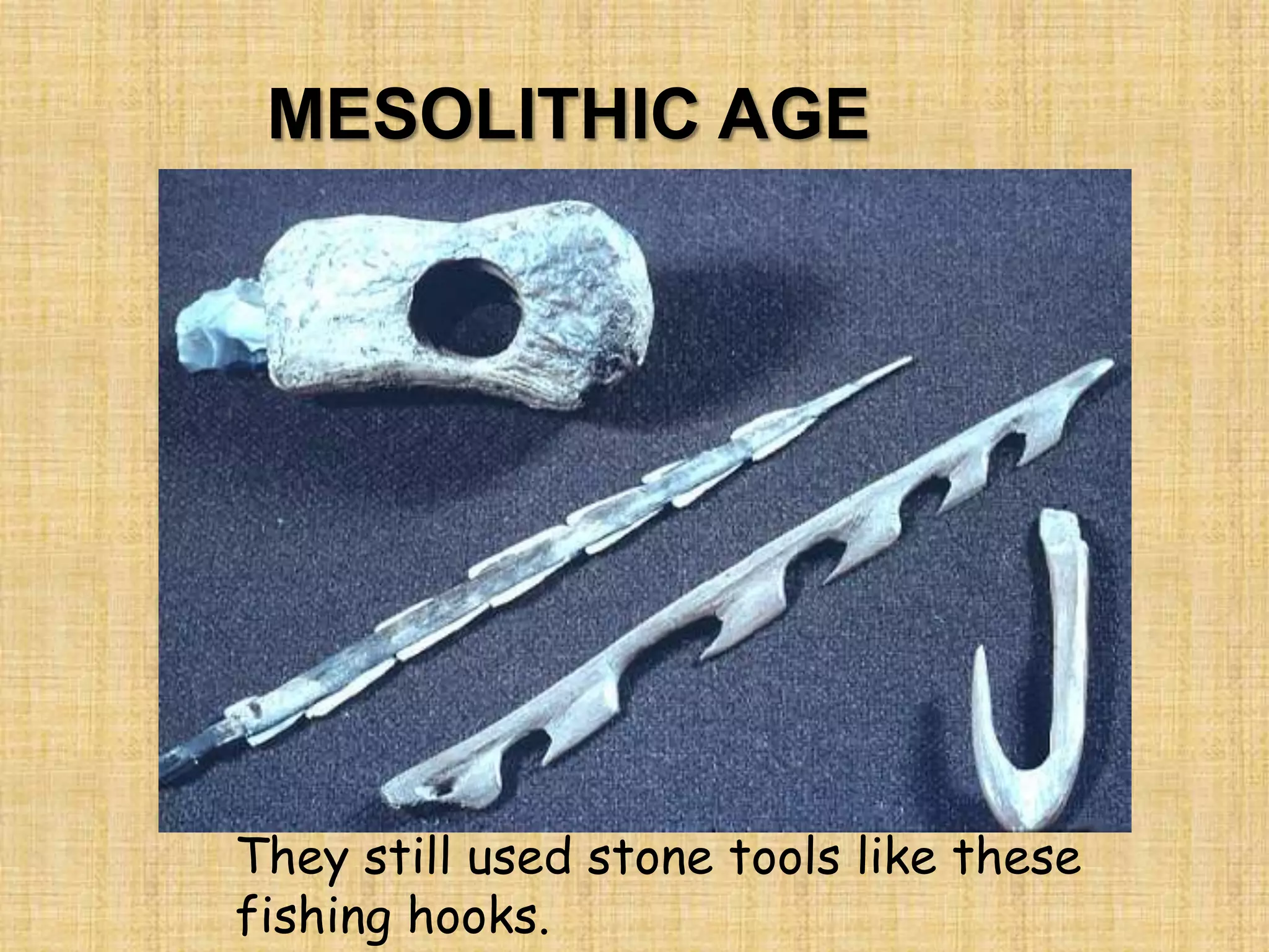 History of Stone Age | PPTX