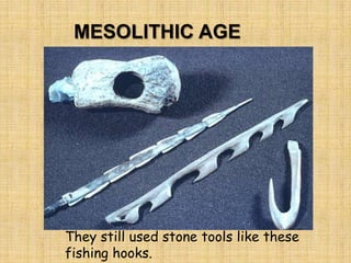 History of Stone Age | PPTX