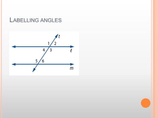 Unit 1 day 7 | PPTX | Geography | Science