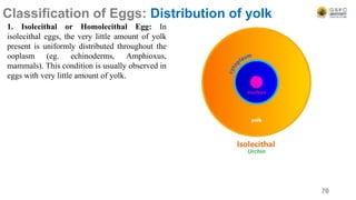 Gametogenesis, fertilization and types of eggs | PPTX