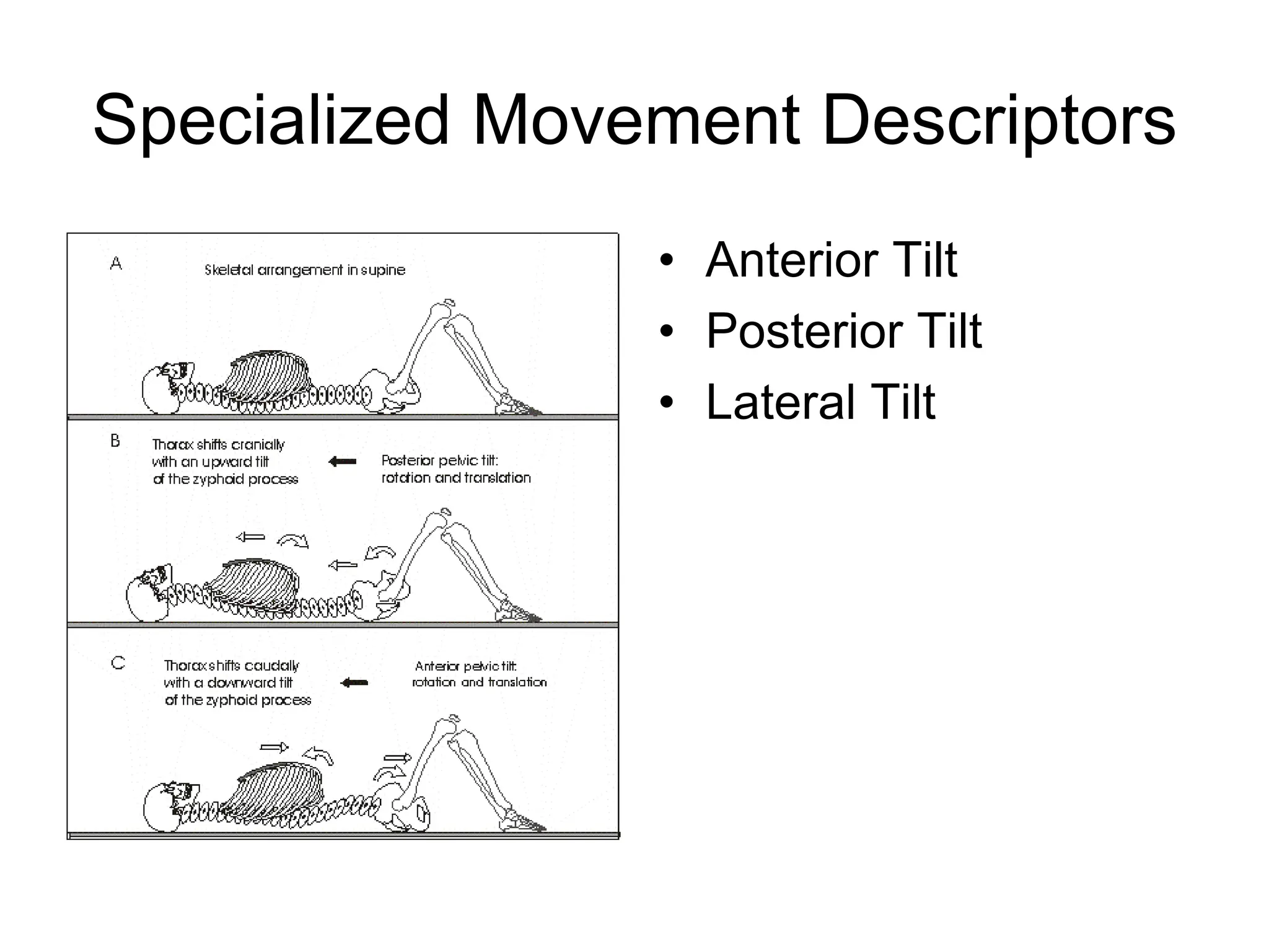 _Unit_1_Directional_and_Anatomical_Location_Terminology[1].ppt