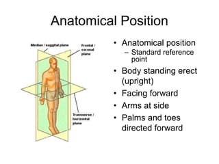 _Unit_1_Directional_and_Anatomical_Location_Terminology[1].ppt