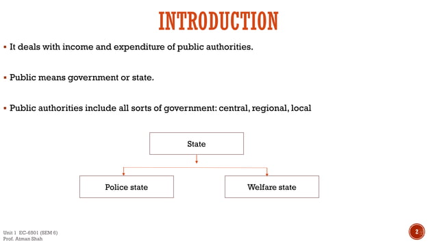 Introduction to Public Finance | PDF