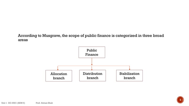 Introduction to Public Finance | PDF