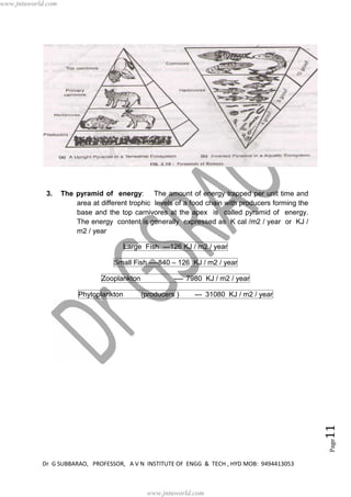 Unit 1 ecosystem | PDF | Geography | Science