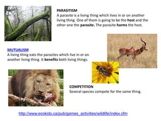 Ecosystems and environment | PPT