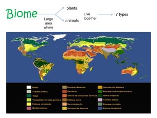 Ecosystems and environment | PPT | Environment | Science