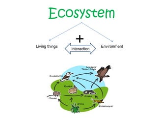 Ecosystems and environment | PPT | Environment | Science