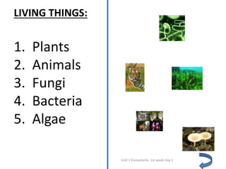 Ecosystems and environment | PPT | Environment | Science