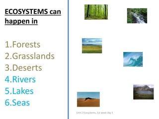 Ecosystems and environment | PPT | Environment | Science