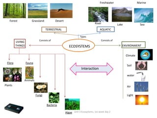Ecosystems and environment | PPT | Environment | Science