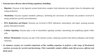 Unit 1 (Enzymes).pptx