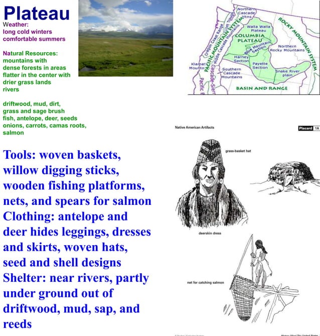 Unit 1 Powepoint Wasemann | PPTX