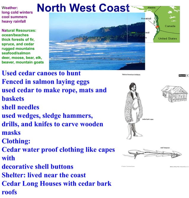 Unit 1 Powepoint Wasemann | PDF