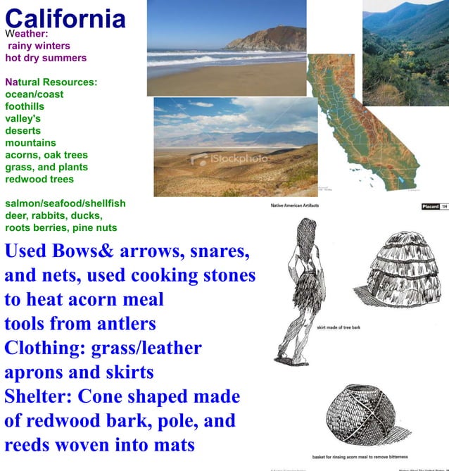 Unit 1 Powepoint Wasemann | PPTX