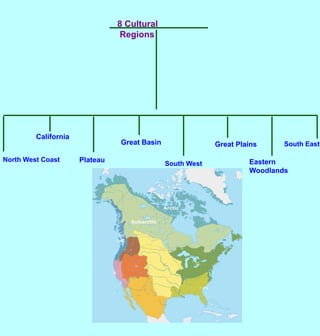 wasemann notes | PDF | Free Download