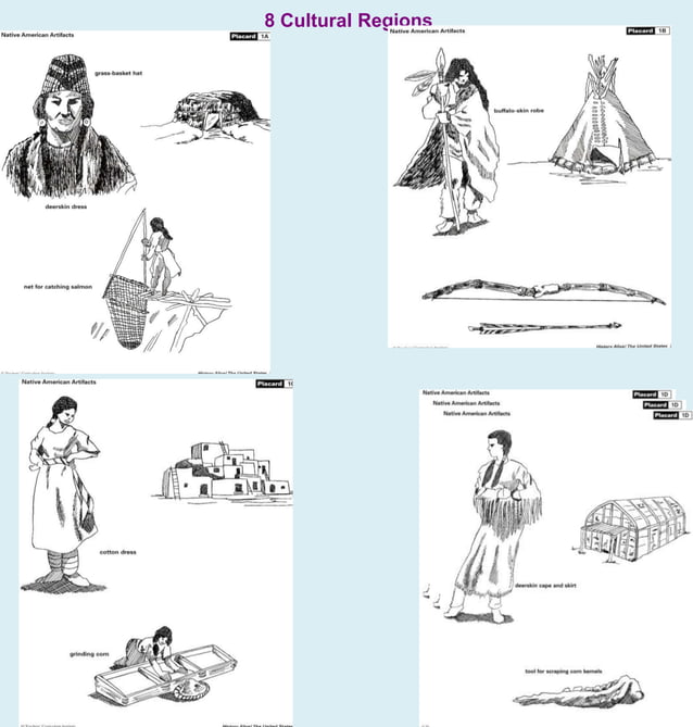 wasemann notes | PDF