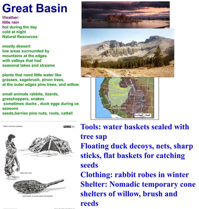 wasemann notes | PDF