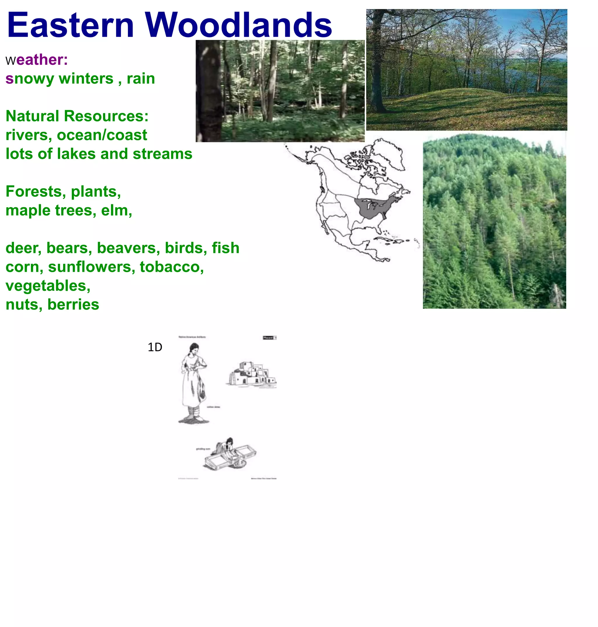 Unit 1 First Americans Katelin Roberts period:4 | PPTX | Geography ...