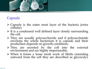 General Biology - Ultra structure of Prokaryotes - Dr. S. Ganesh | PPT
