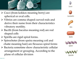 General Biology - Ultra structure of Prokaryotes - Dr. S. Ganesh | PPT