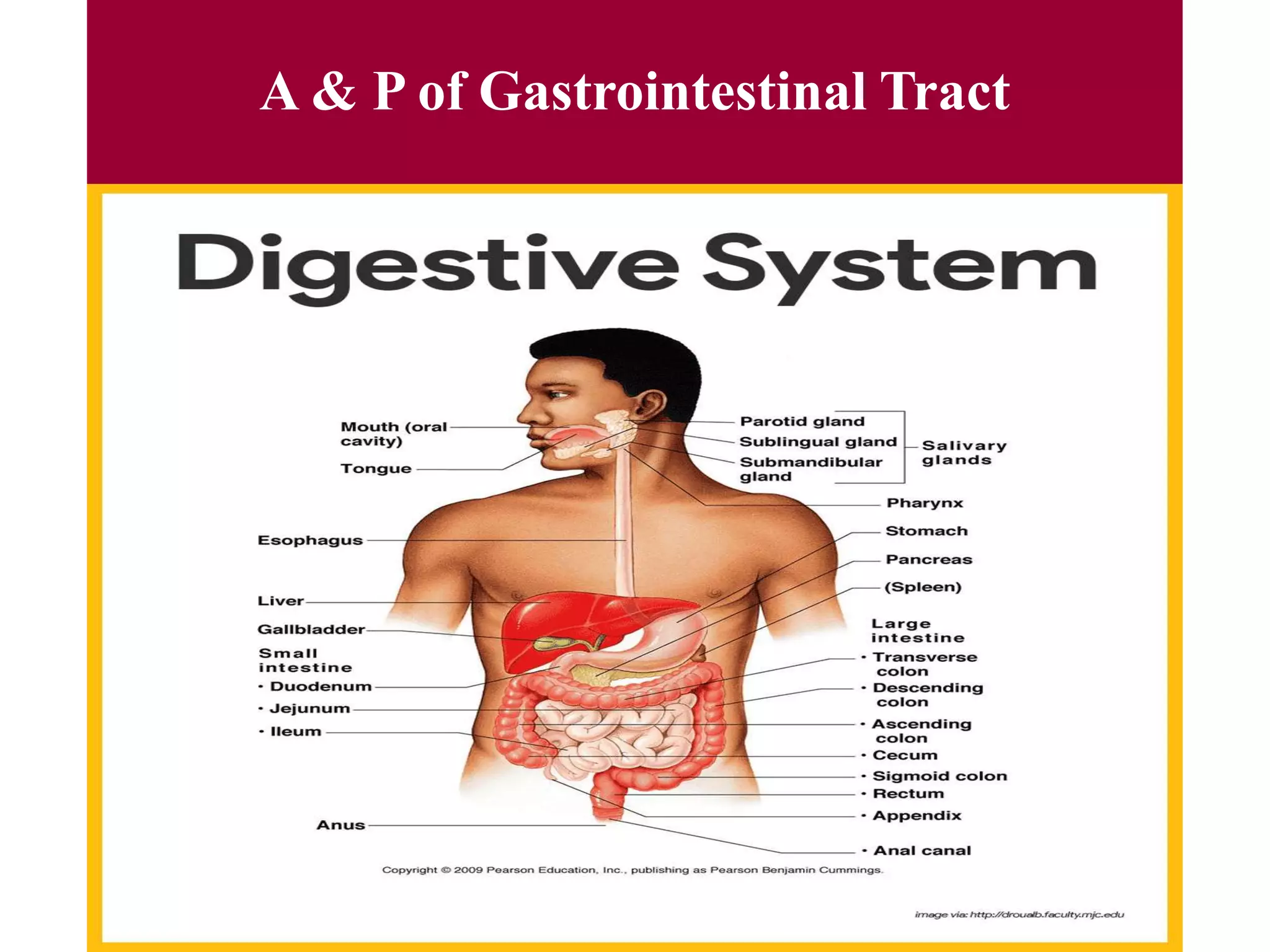 Unit 1; Gastro-Intestinal Disorders By Nursing Tutor-2.pptx