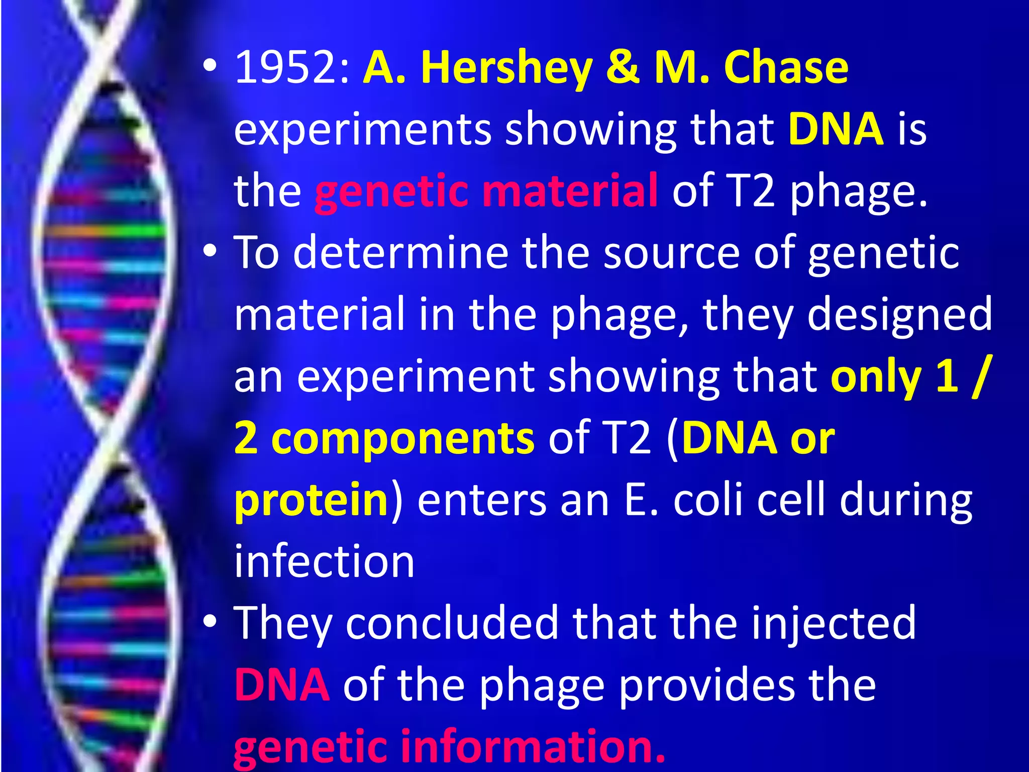 Unit 1 genetics nucleic acids dna | PPT