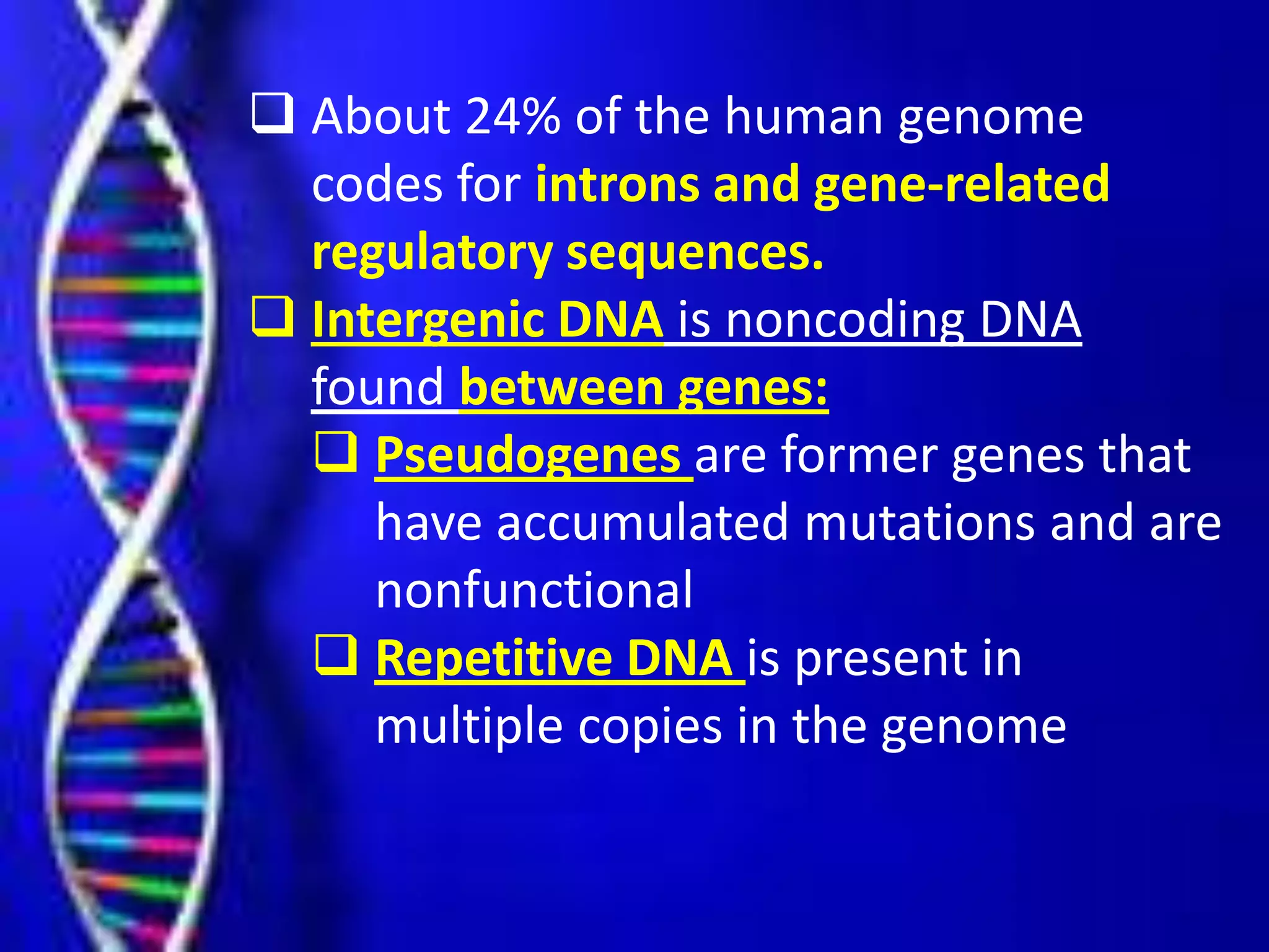 Unit 1 genetics nucleic acids dna | PPT