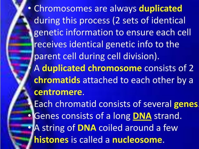 Unit 1 Genetics Nucleic Acids Dna Ppt
