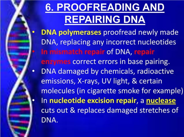 Unit 1 Genetics Nucleic Acids Dna Ppt