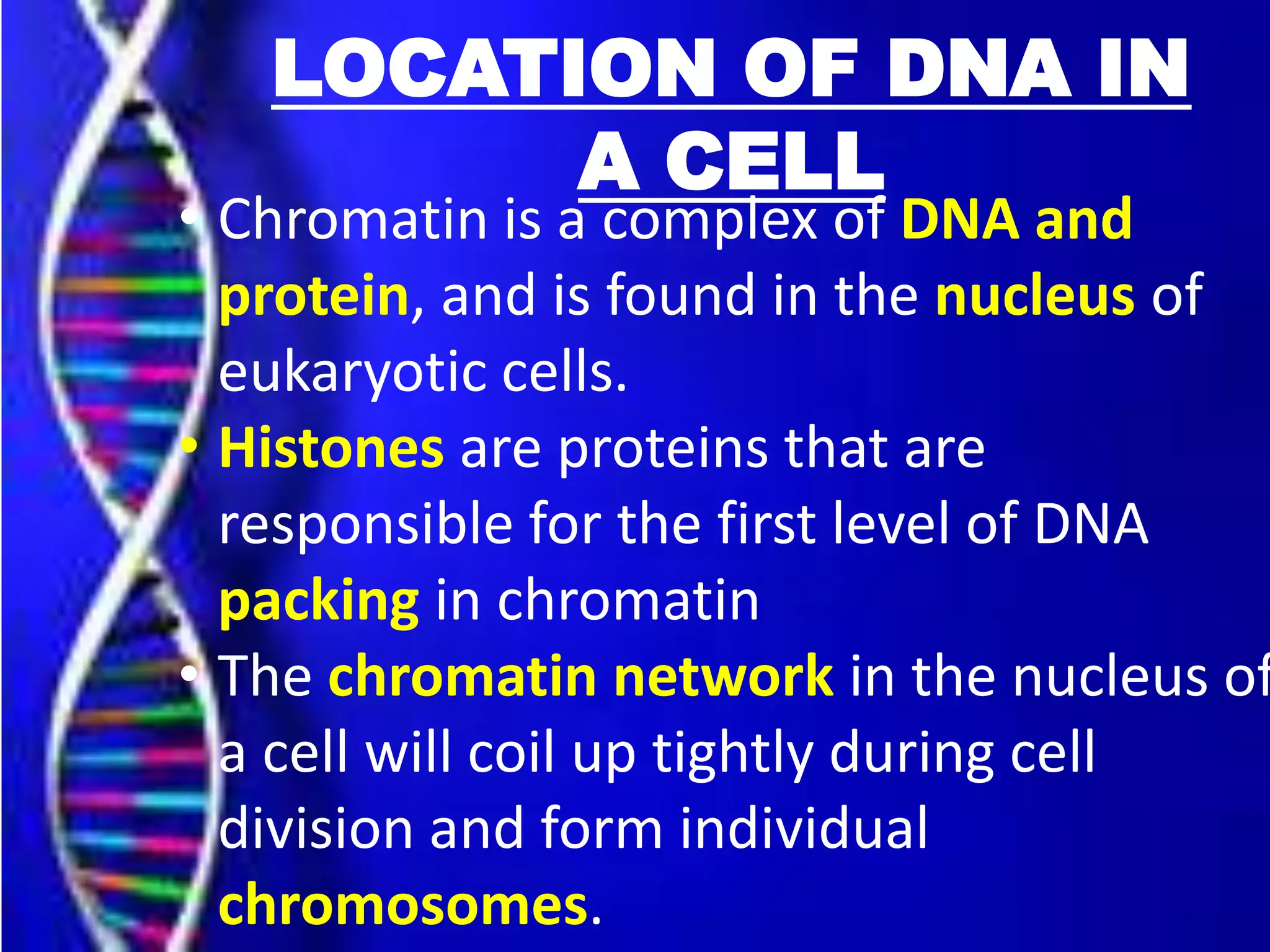 Unit 1 genetics nucleic acids dna | PPTX