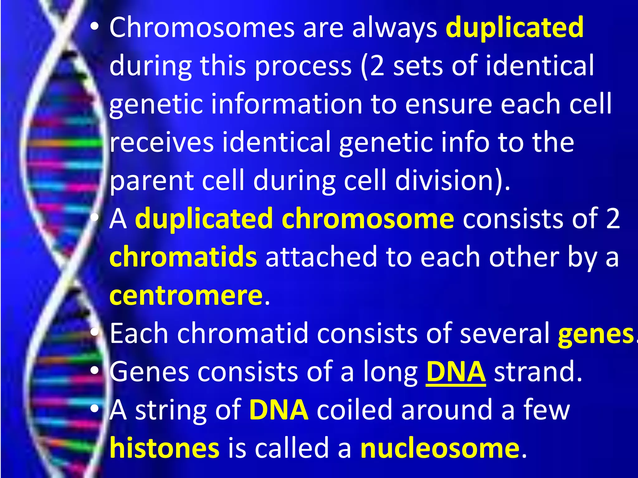 Unit 1 genetics nucleic acids dna | PPTX