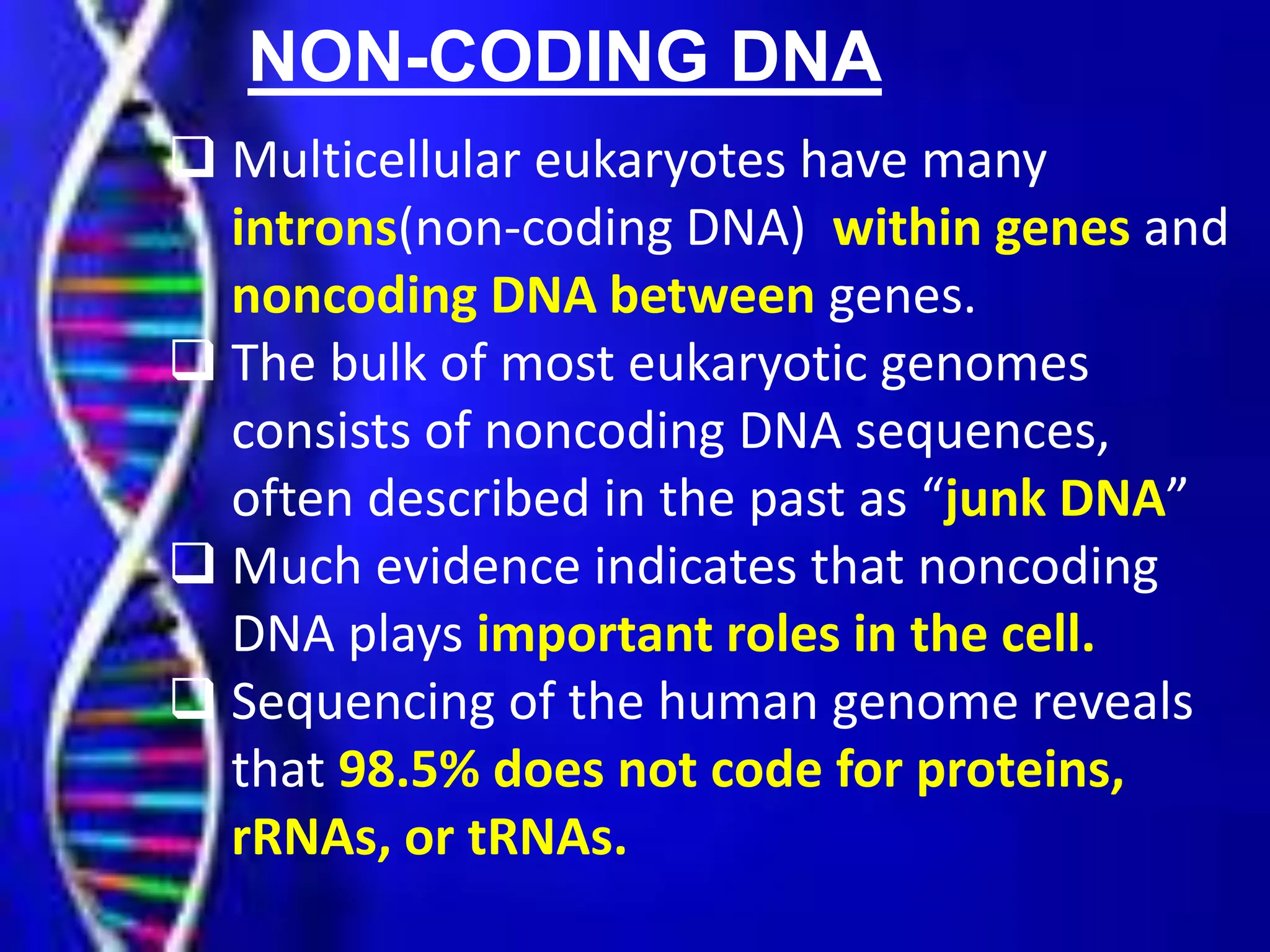 Unit 1 genetics nucleic acids dna | PPT