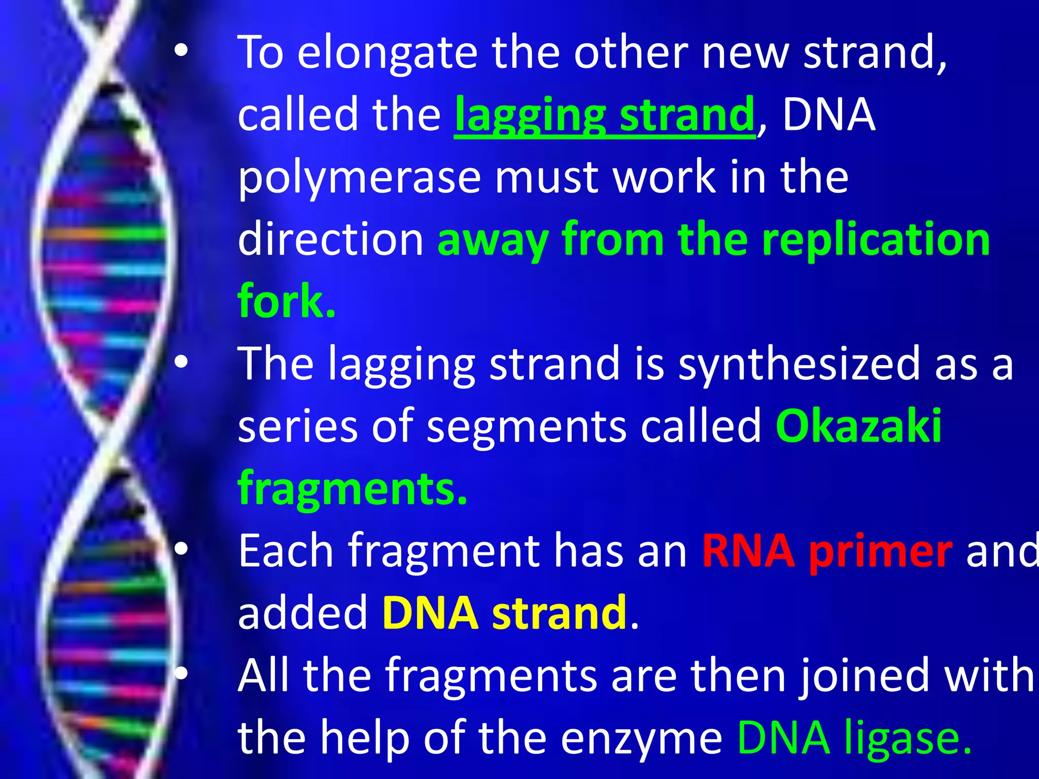 Unit 1 Genetics Nucleic Acids Dna Ppt