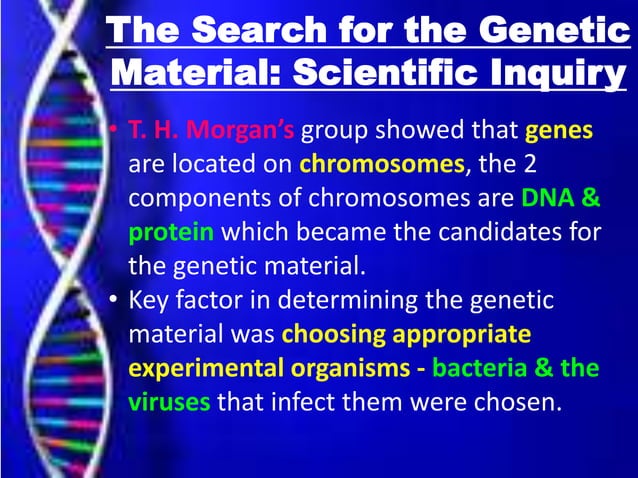 Unit 1 genetics nucleic acids dna | PPT