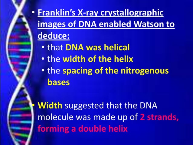 Unit 1 genetics nucleic acids dna | PPT