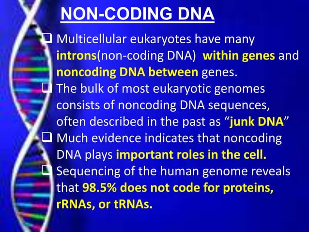 Unit 1 genetics nucleic acids dna | PPT