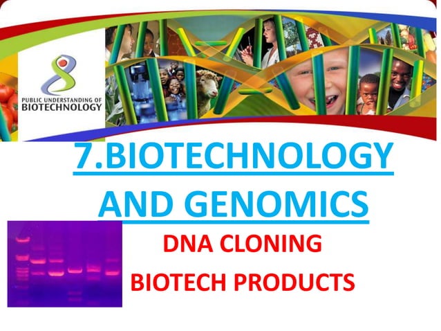 Unit 1 genetics nucleic acids dna | PPT
