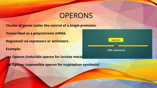 Unit1 Genomic structure prokaryotes.pptx