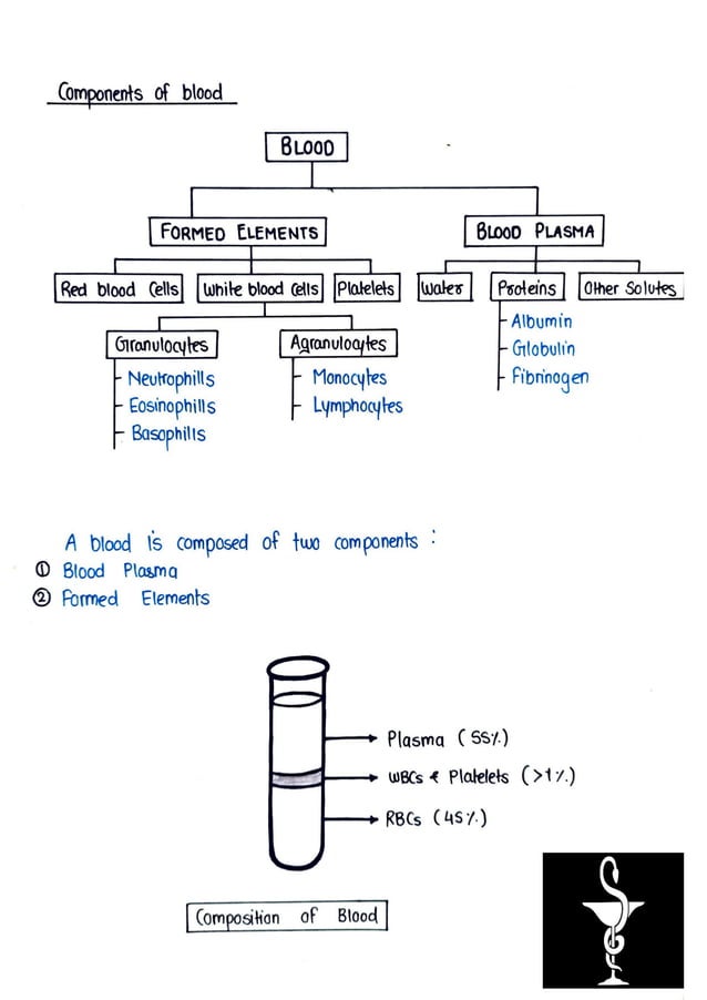 UNIT 1 HAP-II 2ND SEMESTER B.PHARMACY NOTES | PPTX