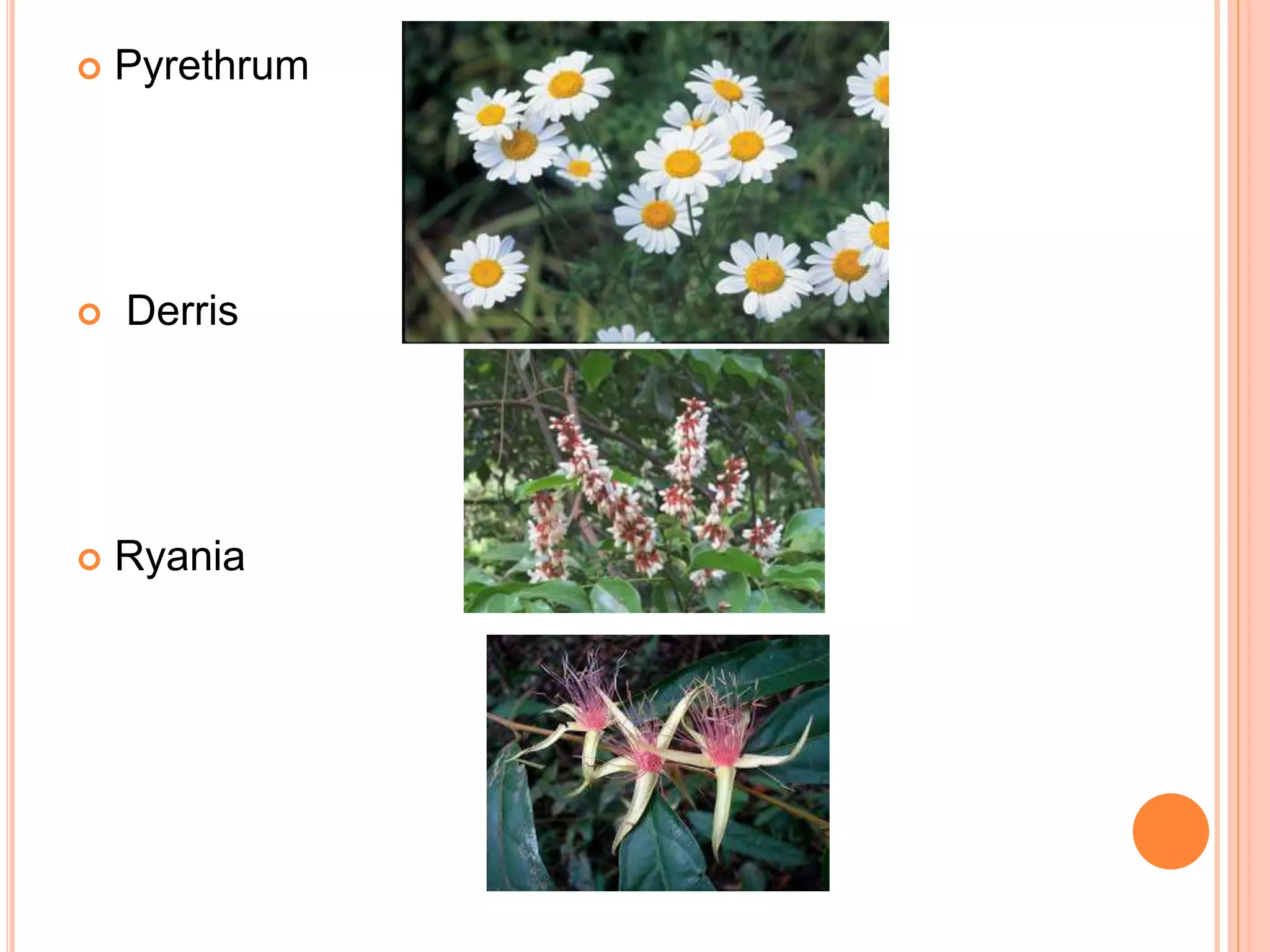 Herbal Drug Technology | PPTX