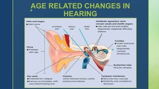 OUTER EAR MASLP | PPT