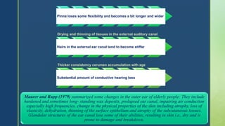 OUTER EAR MASLP | PPT