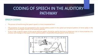 SPEECH PERCEPTION MASLP | PPTX