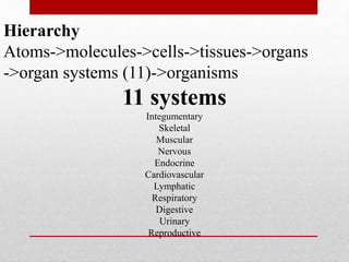 A&P Unit#1 Human Body | PPT