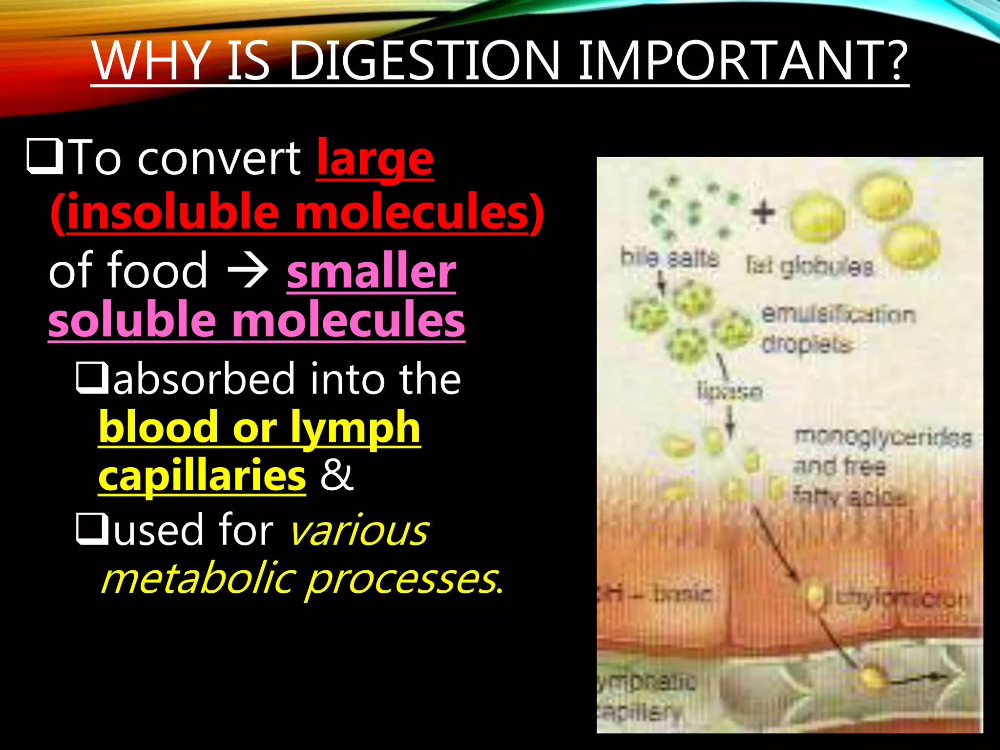 Unit 1 human nutrition | PPTX